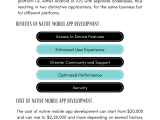 Guide To Native Mobile App Development Benefits And Cost